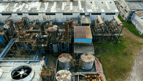 Oil Extraction Process Explained: 7 Steps You Need to Know - Triune